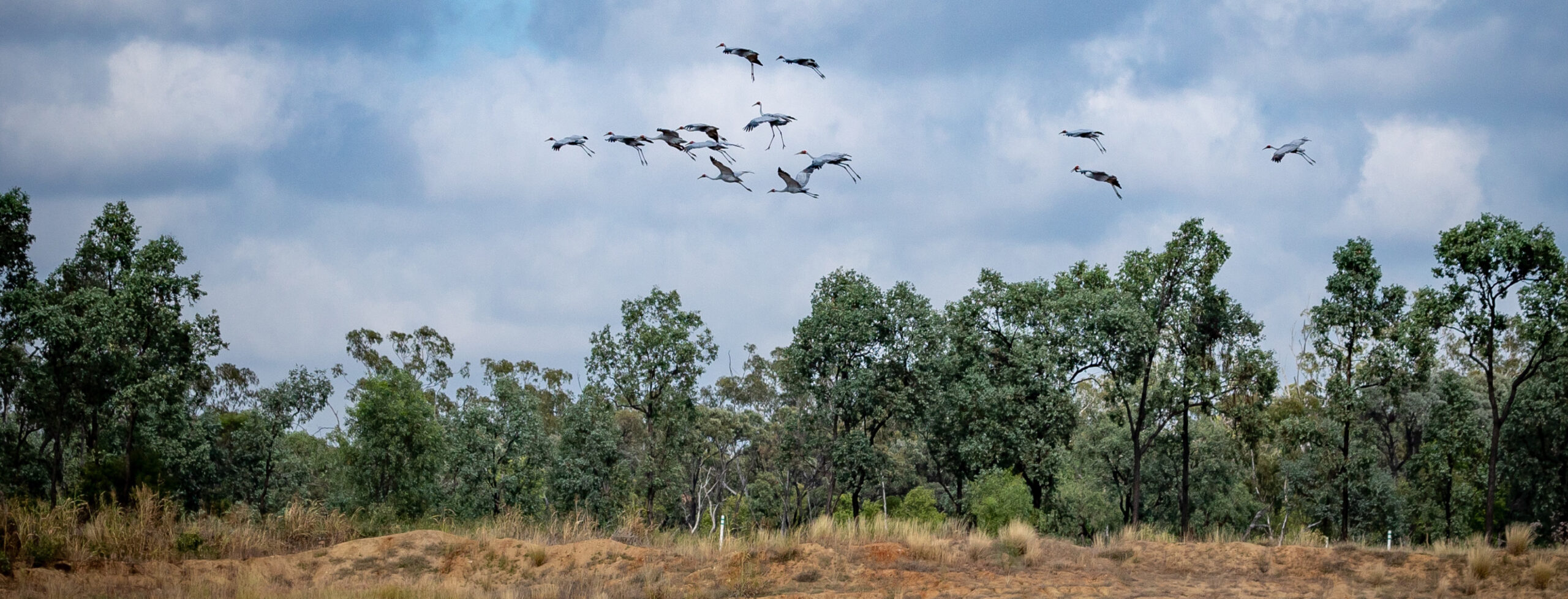 Doubling of Indigenous rangers to boost Australia's minerals eco-system ...
